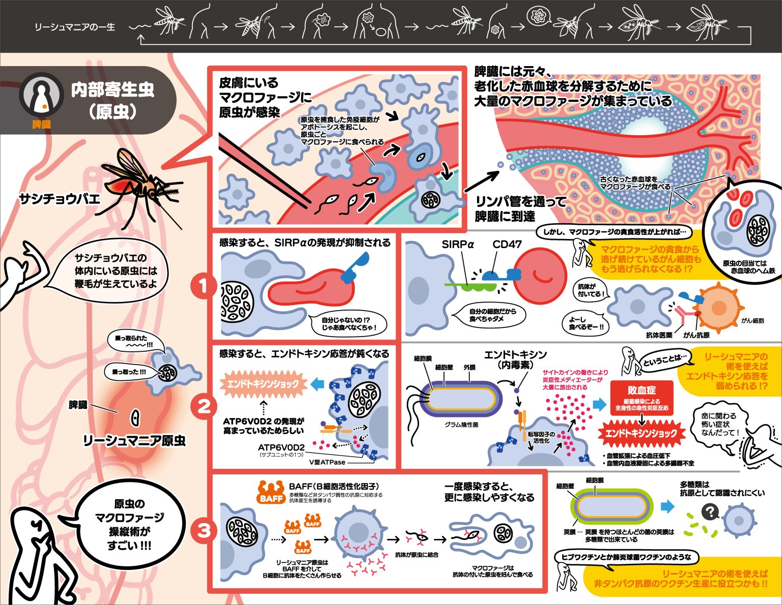 Hana Hirai, Jing Hong, Wataru Fujii, Chizu Sanjoba, Yasuyuki Goto ...